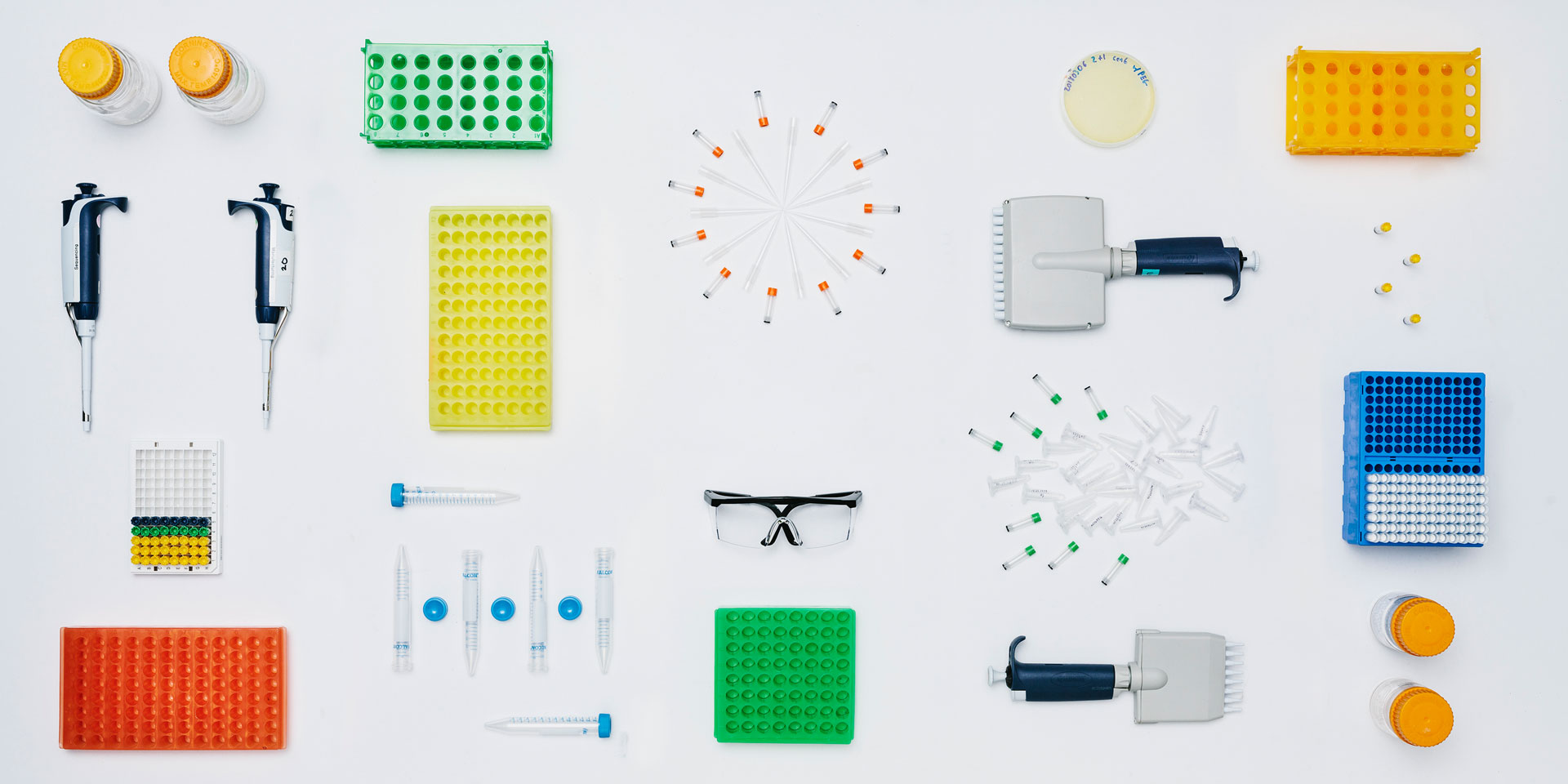 Circle Culture– Insights – Strategy – Design | JOYN BIO